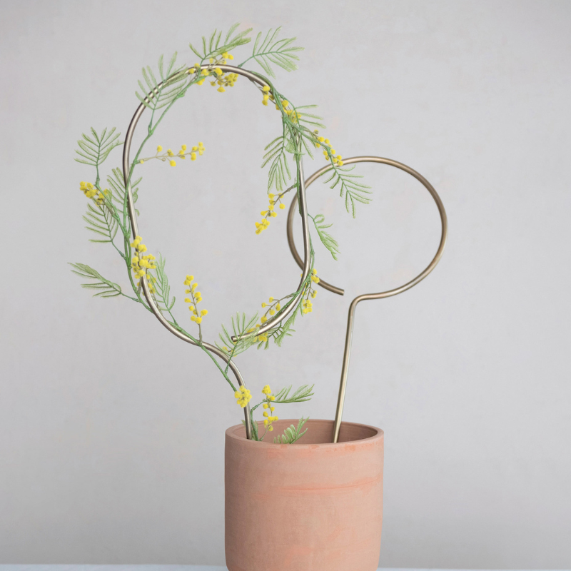 Terraza & Jardín – Casa Limón