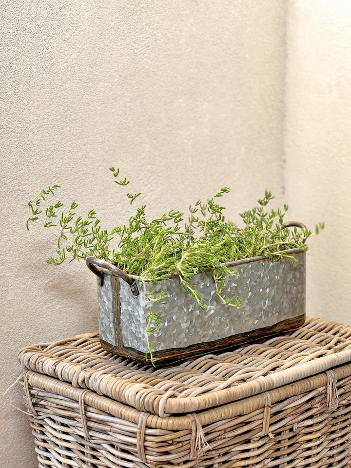 Maceteros#N# – Casa Limón